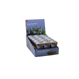 "Grow Your Own - Forget-me-Not - Display - Vergeet-me-nietjes om zelf ...